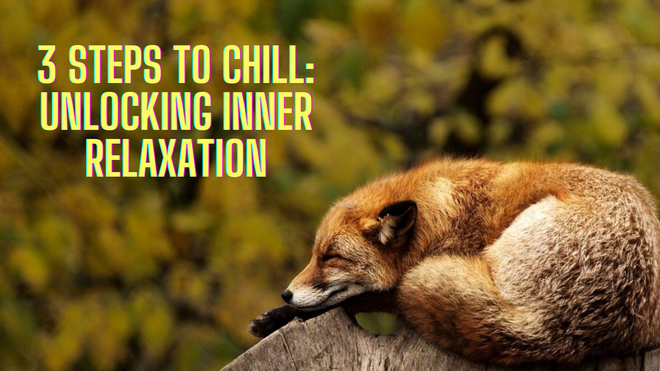 3 Steps to Chill: Unlocking Inner Relaxation - Release Hypnosis